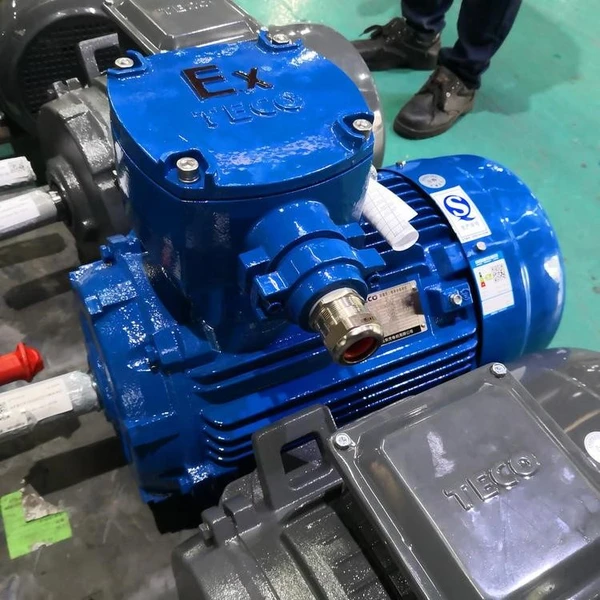 TECO dust explosion-proof motor