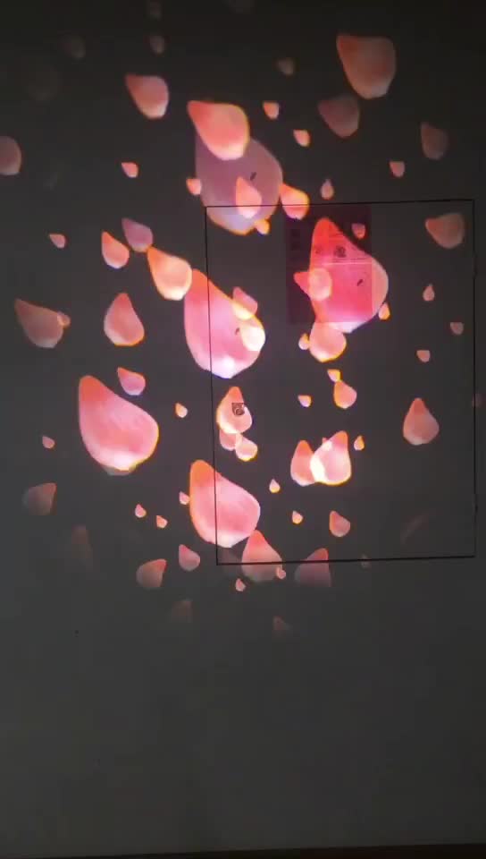 Outdoor Gobo Projector | Customized Image Projector | Noble Lighting.