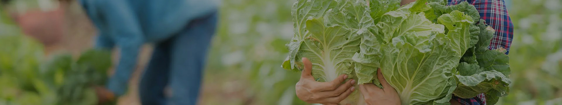 Hunan Weiyan Machinery Technology Co., Ltd.:Agricultural machinery ...